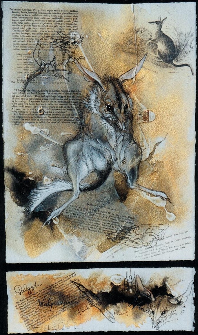 Pamela Conder - Wildlife Art